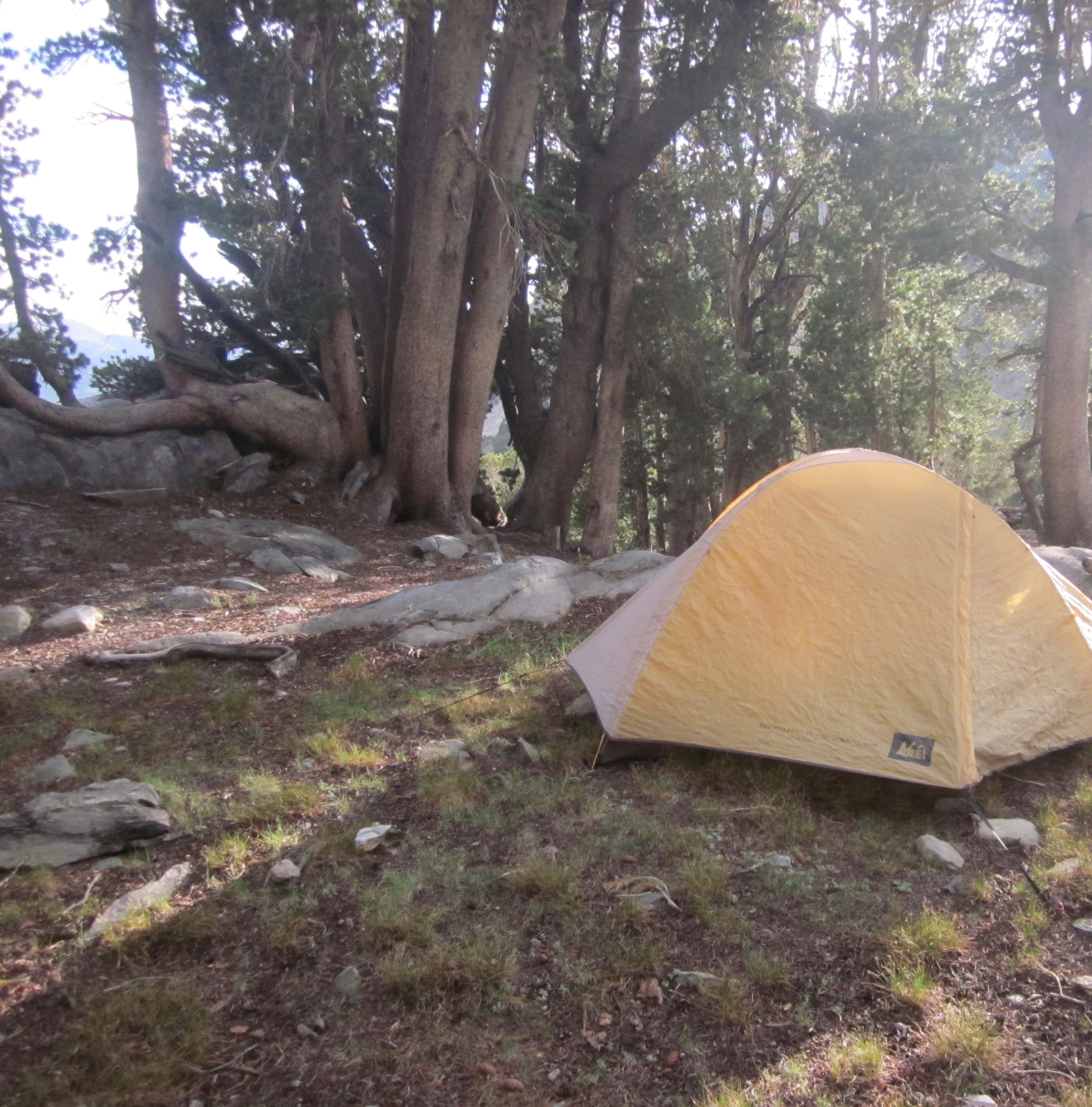 Backpacking Basics: Picking a Campsite – MEG HIKES